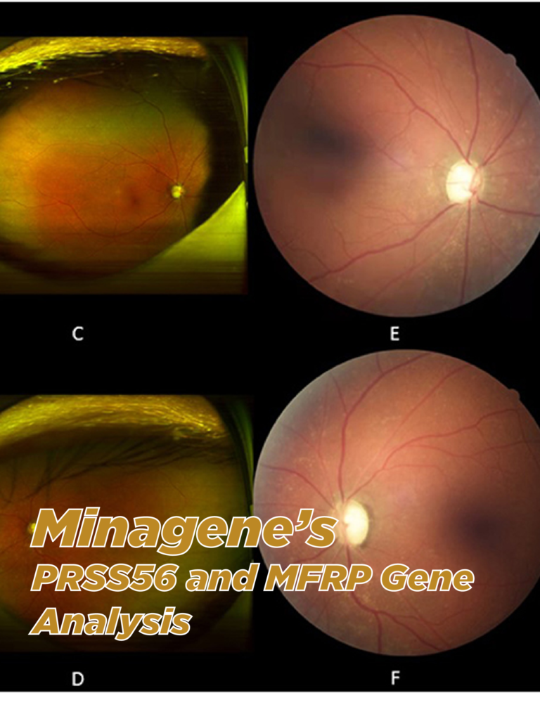 Medicalprof - medicalprof